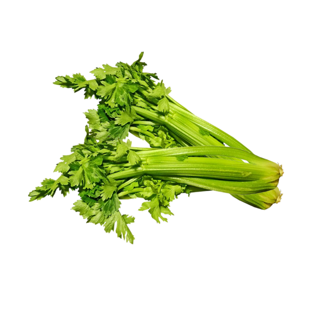 Apio - frutalahuerta